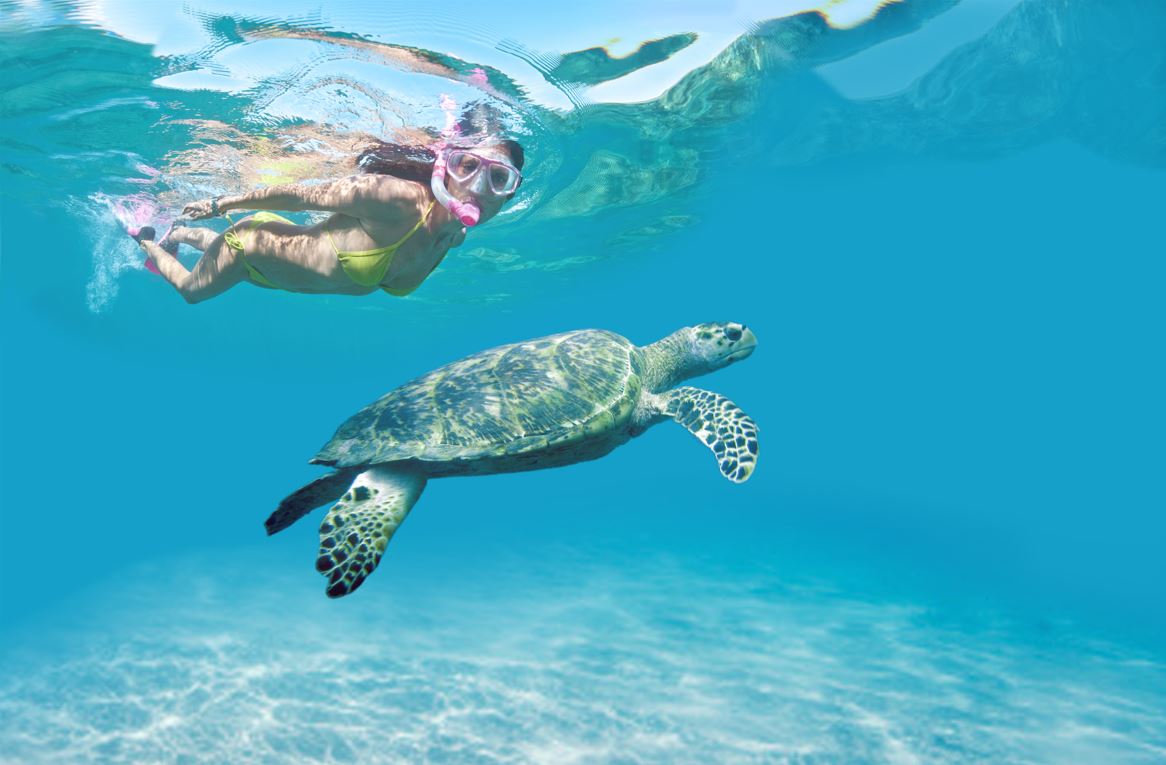 Booking holidays in Tobago and general information - Just Tobago